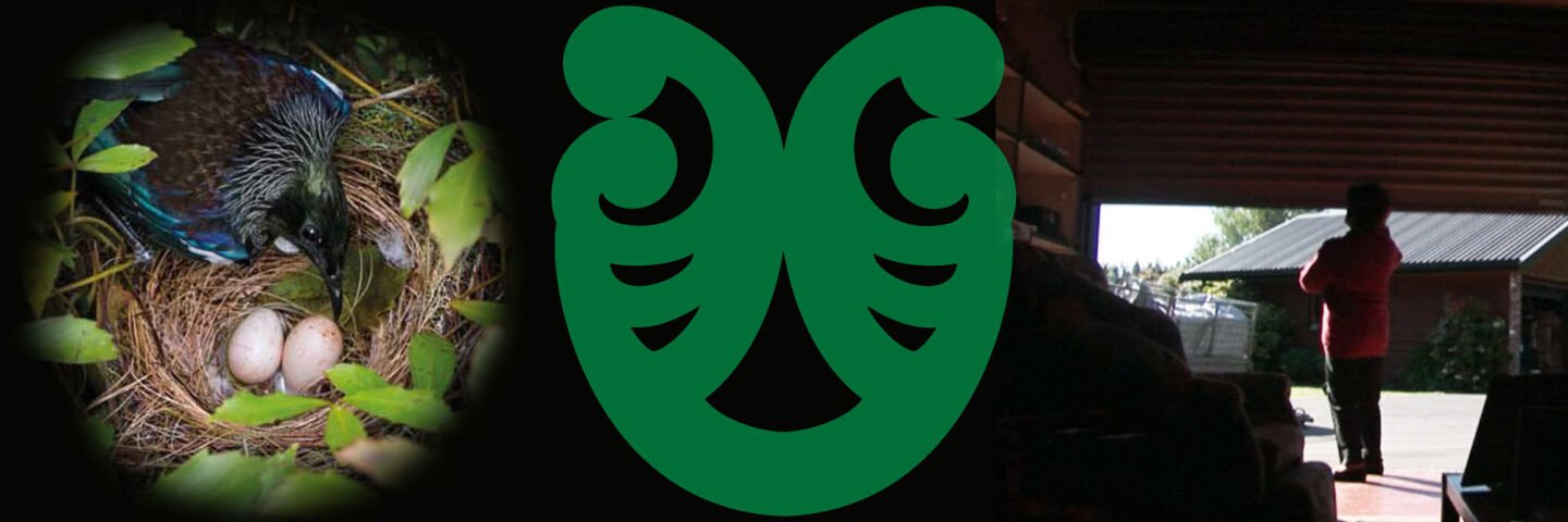 Te Kōhanga Reo: From garages to 10% of early childhood education - Garador